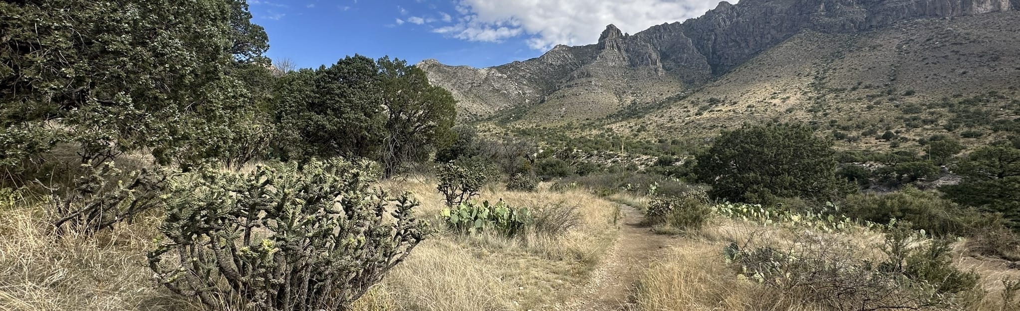 Devil's Hall Trail, Texas - 2,875 Reviews, Map | AllTrails