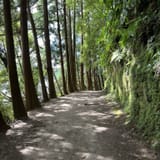 Furnas Lagoon Trail, Azores, Portugal - 300 Reviews, Map | AllTrails