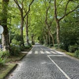 Furnas Lagoon Trail, Azores, Portugal - 300 Reviews, Map | AllTrails