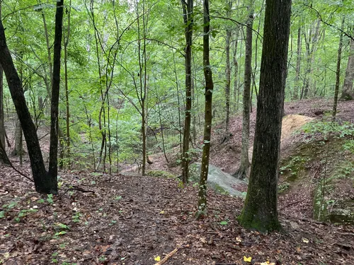 10 Best Hikes and Trails in Latta Nature Preserve | AllTrails