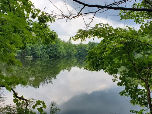 Best Hikes and Trails in Verona Beach State Park | AllTrails