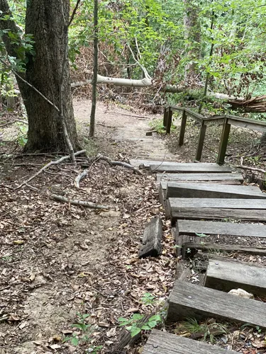 Best Hikes and Trails in Leakin Park | AllTrails