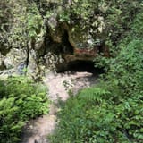 Dames Cave, Florida - 530 Reviews, Map | AllTrails