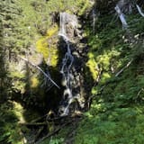 PJ Lake Trail, Washington - 155 Reviews, Map | AllTrails