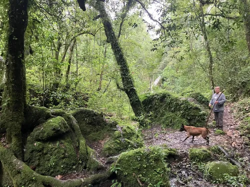 10 Best Hikes and Trails in Zona de Protección Ambiental Pico Azul - La ...