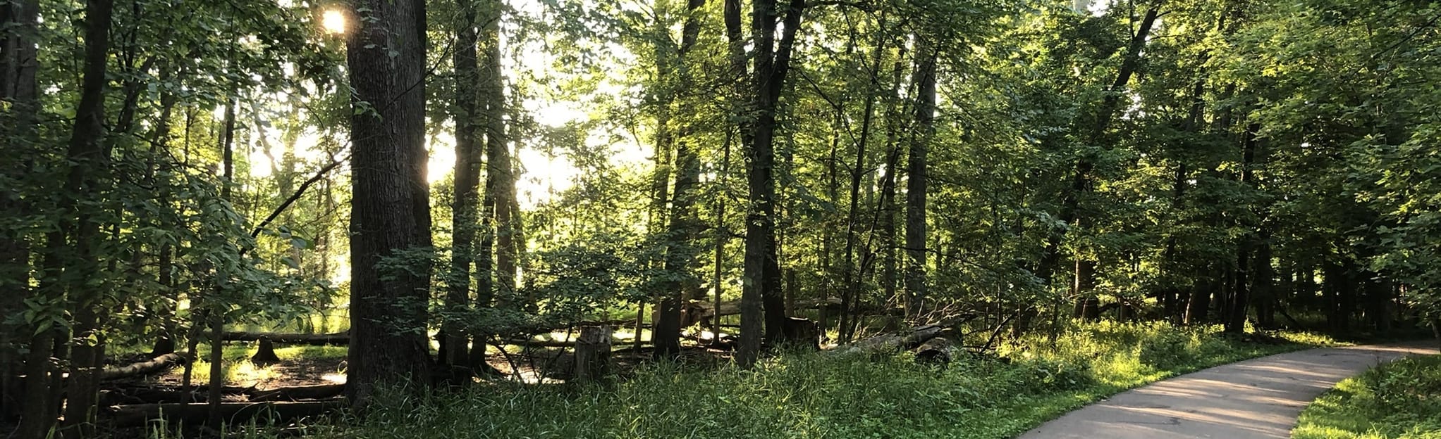 Hawk Island Loop via Scott Woods, Michigan - 577 Reviews, Map | AllTrails