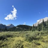 Assiniboine Pass - Wonder Pass, Alberta, Canada - 108 Reviews, Map ...
