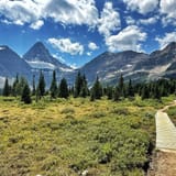 Assiniboine Pass - Wonder Pass, Alberta, Canada - 114 Reviews, Map ...