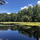 Windham Rail Trail, New Hampshire - 1,259 Reviews, Map | AllTrails