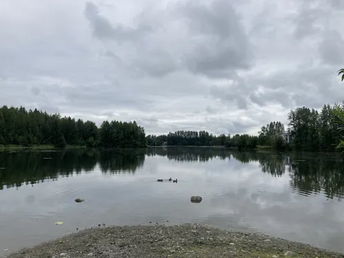 Best Hikes and Trails in Cheney Lake Park | AllTrails