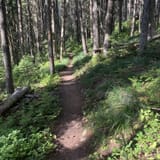 Quartz Lake Loop, Montana - 184 Reviews, Map | AllTrails