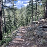 Cabin Loop Trail, Arizona - 218 Reviews, Map | AllTrails