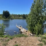 Waughop Lake Loop , Washington - 698 Reviews, Map | AllTrails