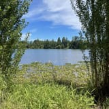Waughop Lake Loop , Washington - 698 Reviews, Map | AllTrails