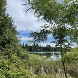 Waughop Lake Loop , Washington - 698 Reviews, Map | AllTrails