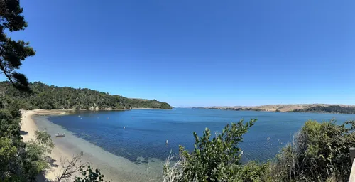 Best Hikes and Trails in Tomales Bay State Park | AllTrails
