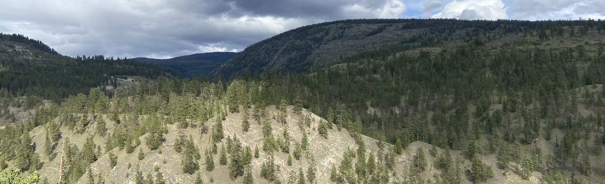 Chasm Loop: 25 Reviews, Map - British Columbia, Canada | AllTrails