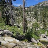 Truckee River Trail, California - 1,401 Reviews, Map | AllTrails