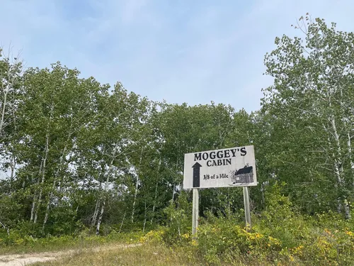 Best Hikes and Trails in Eriksdale | AllTrails