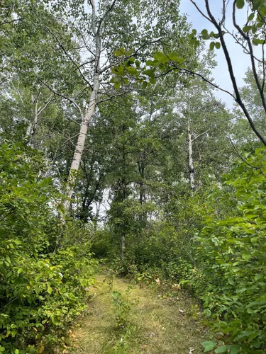 Best Hikes and Trails in Eriksdale | AllTrails