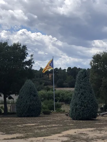 2023 Best Forest Trails in La Pera | AllTrails