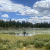 Native Lake Trail, Colorado - 263 Reviews, Map | AllTrails