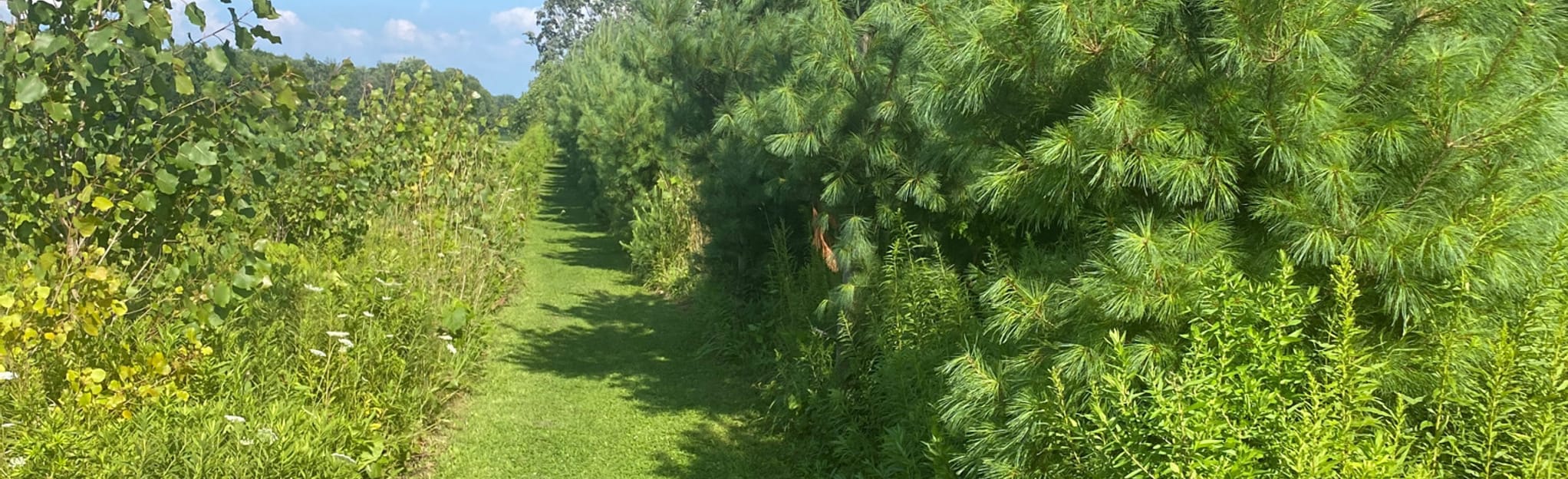 Solitude Nature Reserve Trail, Ontario, Canada - 54 Reviews, Map ...