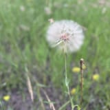 Tallman Ranch via Bridge Creek Trailhead, Colorado - 459 Reviews, Map ...