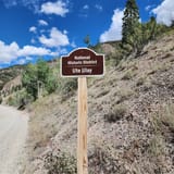 Engineer Pass Road, Colorado - 244 Reviews, Map | AllTrails