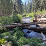 Carlon Falls Trail, California - 1,076 Reviews, Map | AllTrails