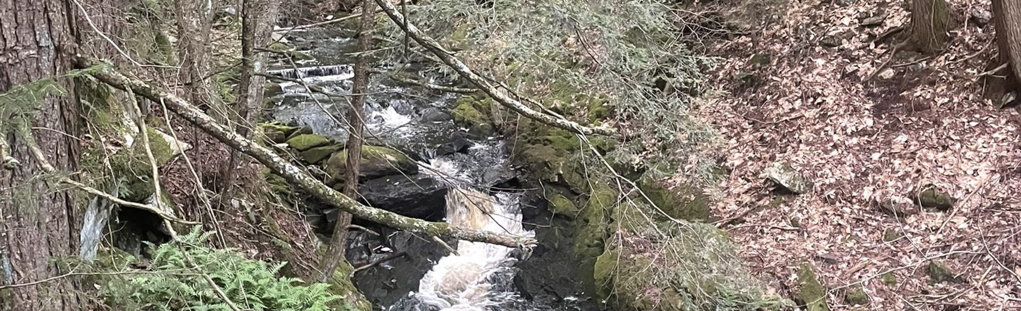 Cherry Plain Waterfalls Trail: 53 Reviews, Map - New York | AllTrails