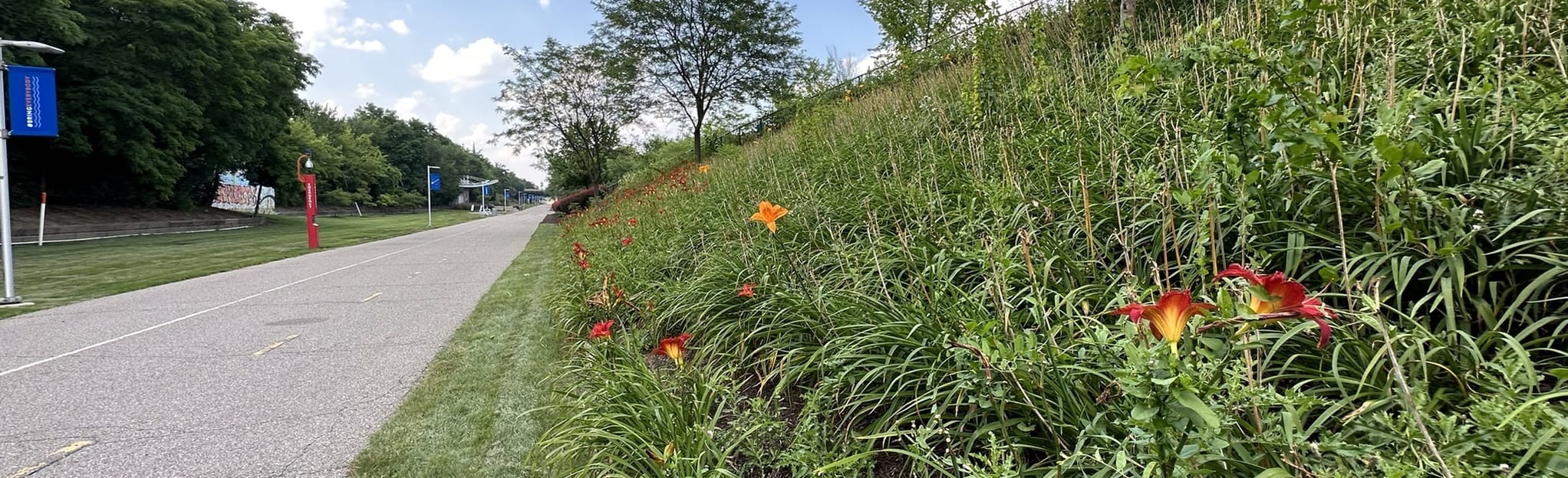 Dequindre Cut Greenway, Michigan - 299 Reviews, Map | AllTrails