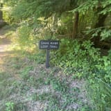Queets River Trail, Washington - 33 Reviews, Map | AllTrails