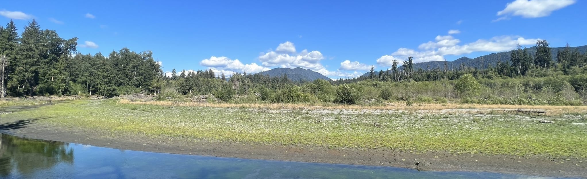Queets River Trail, Washington - 24 Reviews, Map | AllTrails