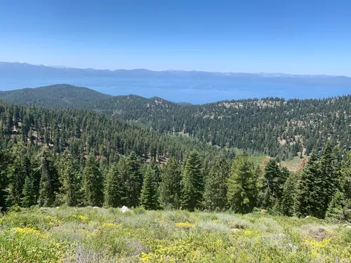 2023 Best 10 Camping Trails in Humboldt-Toiyabe National Forest | AllTrails