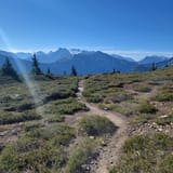 Copper Ridge Trail To Copper Lake, Washington - 91 Reviews, Map | AllTrails