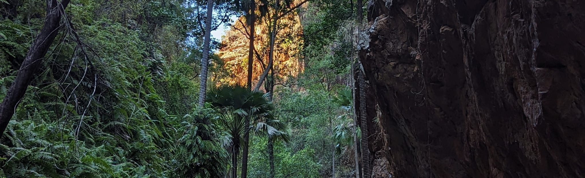 El Questro Gorge Walk, Western Australia, Australia - 36 Reviews, Map ...