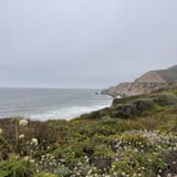 Gray Whale Cove Trail, California - 972 Reviews, Map | AllTrails