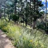 Canyon Loop, Colorado - 1,300 Reviews, Map | AllTrails
