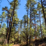 Balancing Rock Trail, Arizona - 559 Reviews, Map | AllTrails