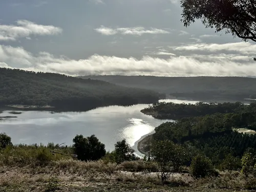 Best Forest Trails in Kangarilla | AllTrails