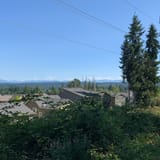 PSE Powerline Trail, Washington - 374 Reviews, Map | AllTrails