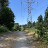 PSE Powerline Trail, Washington - 374 Reviews, Map | AllTrails