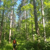 Machickanee Forest Northwest Loop, Wisconsin - 152 Reviews, Map | AllTrails