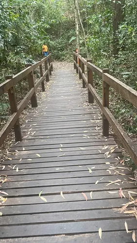 Best Hikes and Trails in Cumberland State Forest | AllTrails