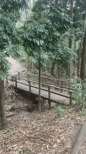 Best Hikes and Trails in Cumberland State Forest | AllTrails