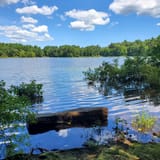 Leach Pond Trail, Massachusetts - 2,104 Reviews, Map | AllTrails