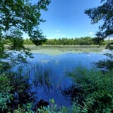 Leach Pond Trail, Massachusetts - 2,104 Reviews, Map | AllTrails