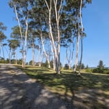 Savary Park Loop, Nova Scotia, Canada - 8 Reviews, Map | AllTrails