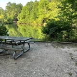 Deep Run Park Trails, Virginia - 1,306 Reviews, Map | AllTrails